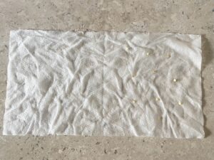 How To Germinate Seeds In A Paper Towel: An Easy, Step By Step Guide ...