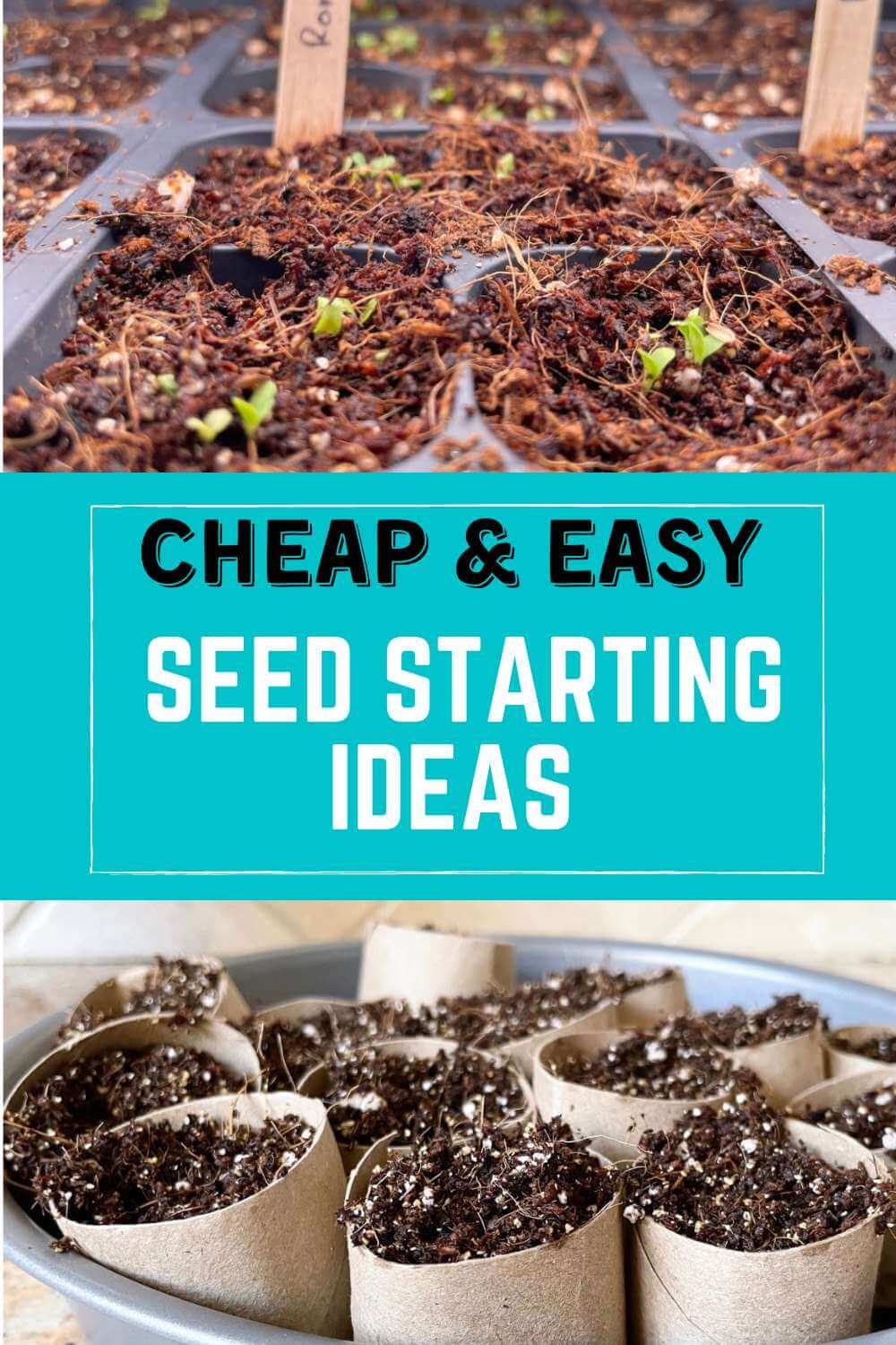 Seed Starting Ideas: Helpful and Creative Ideas For Seed Starting ...