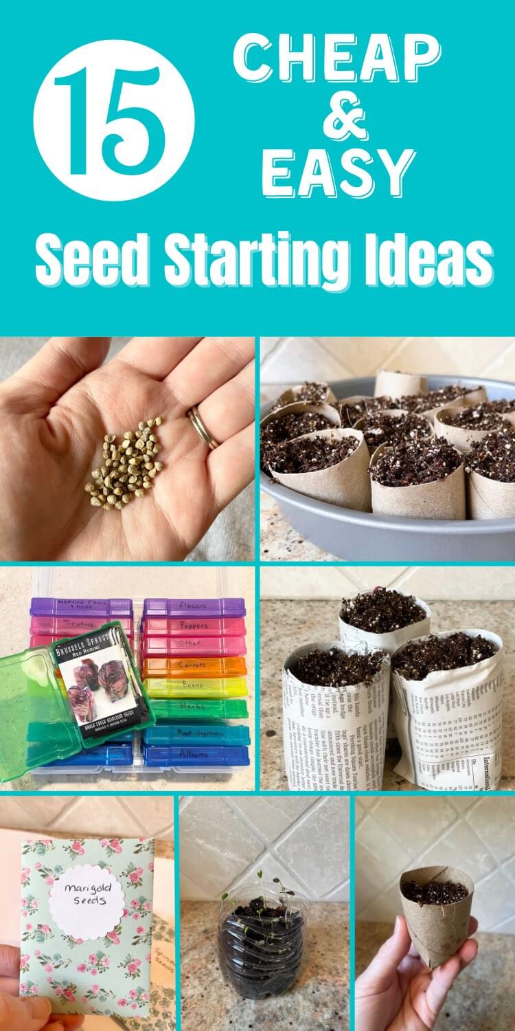 Seed Starting Ideas: Helpful and Creative Ideas For Seed Starting ...
