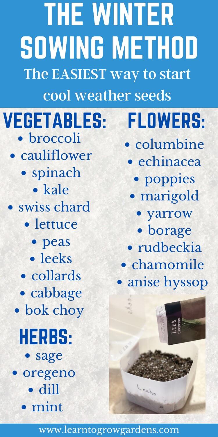 Winter Sowing Seeds: A Complete Guide To Getting Started - Learn To ...