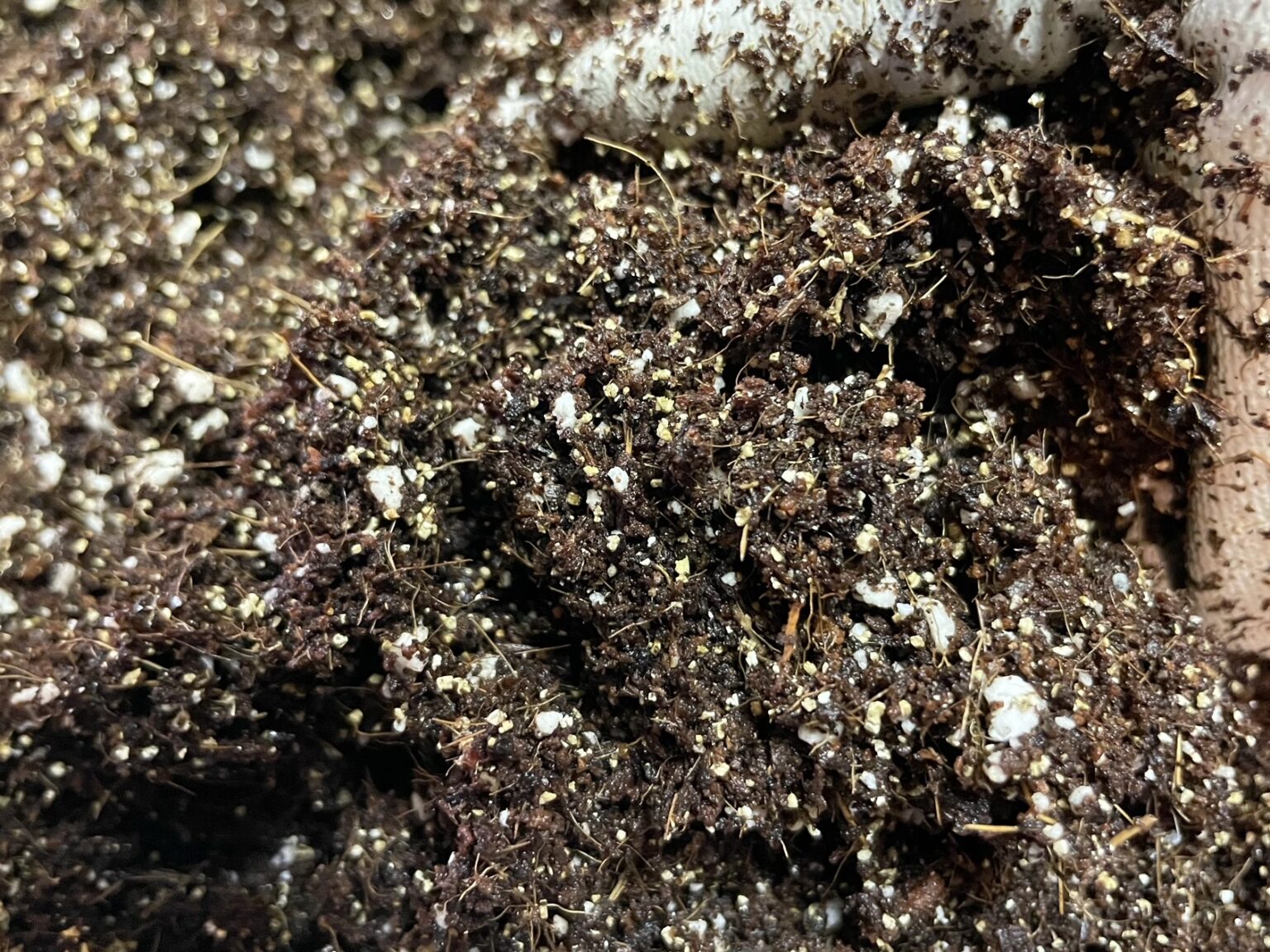 27 DIY Seed Starting Pots: Cheap & Easy Ideas For Starting Seeds ...