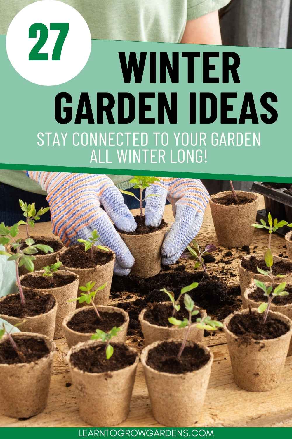 29 Winter Garden Ideas to Beat the Winter Blues - Learn To Grow Gardens