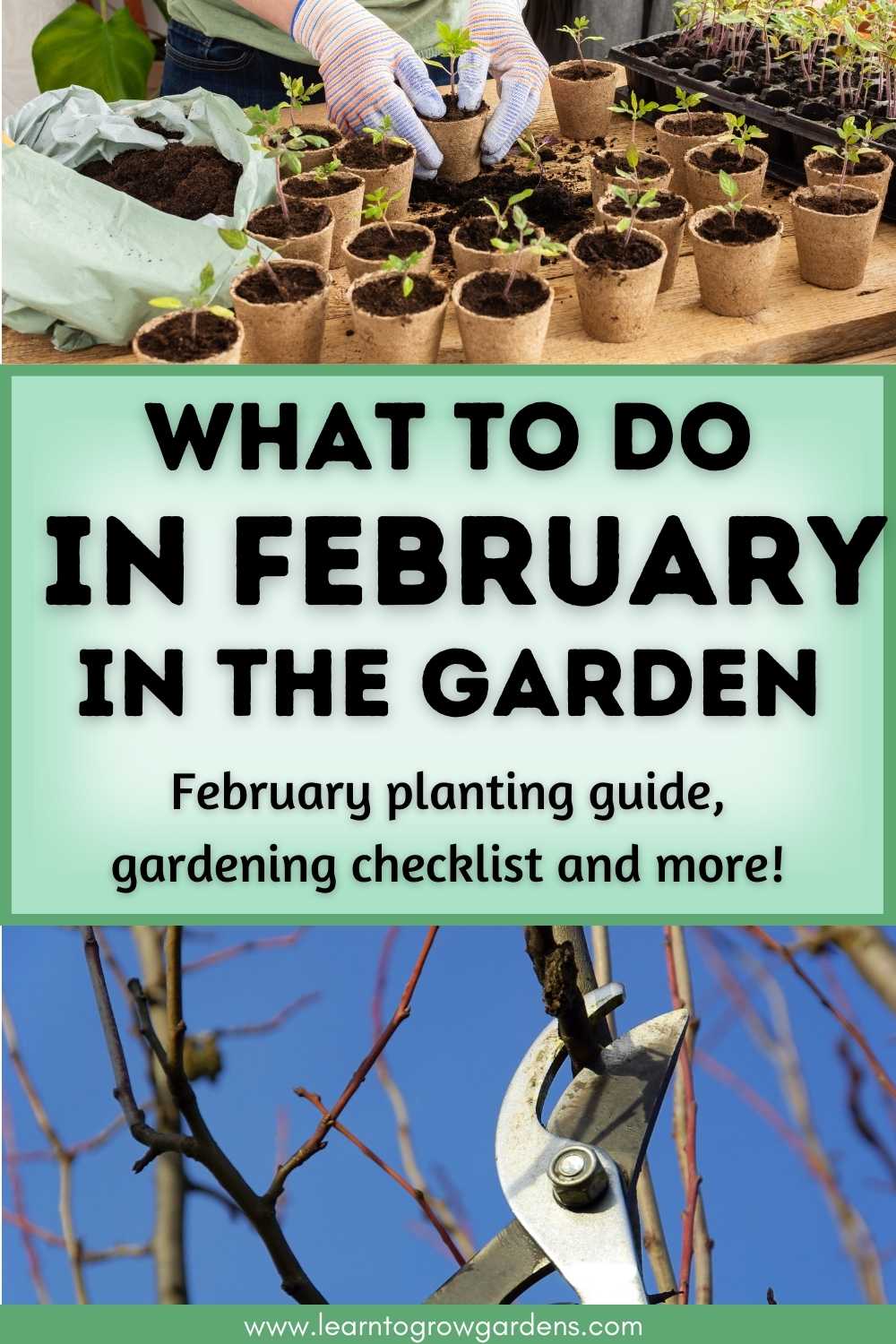February in the Garden: Tips For What To Do This Month - Learn To Grow ...