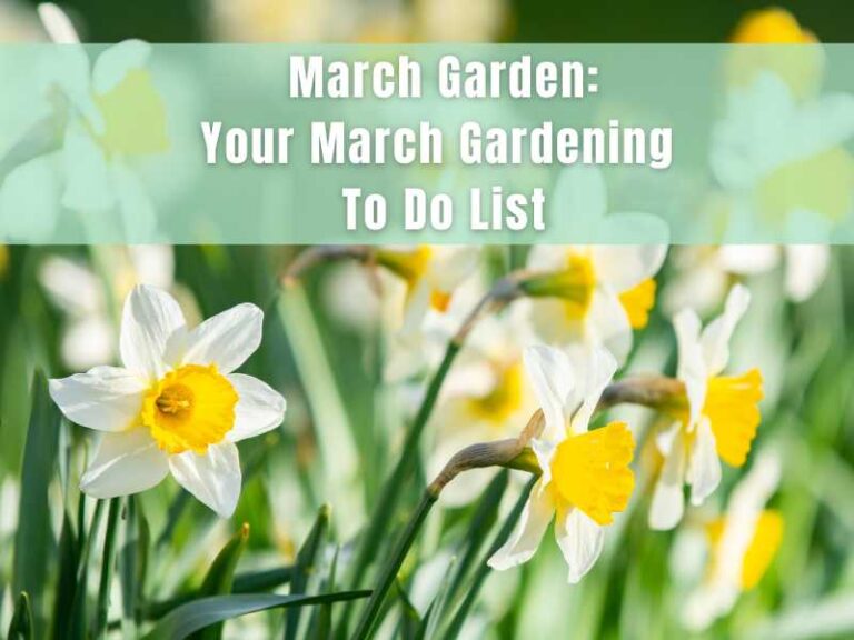 21 Best Gardening Tips For Beginners: Top Tips and Tricks for Success - Learn To Grow Gardens