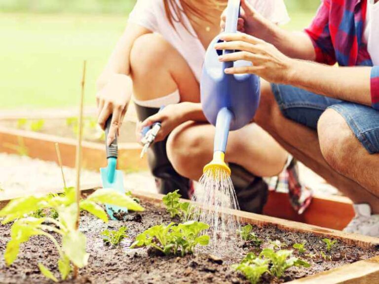 21 Best Gardening Tips For Beginners: Top Tips and Tricks for Success - Learn To Grow Gardens