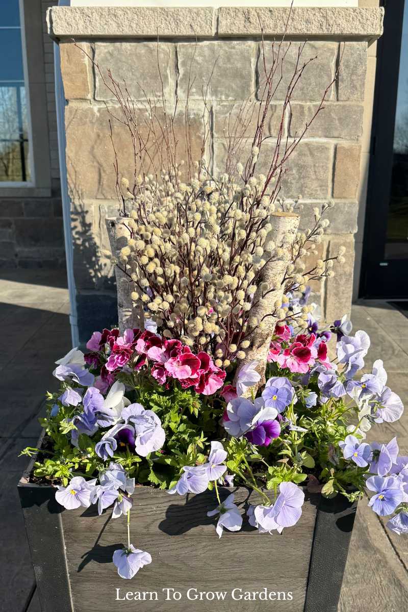 Spring Pansy Planter Idea for a Front Porch or Entryway - Learn To Grow ...