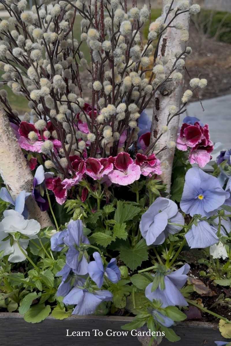 Spring Pansy Planter Idea for a Front Porch or Entryway - Learn To Grow ...