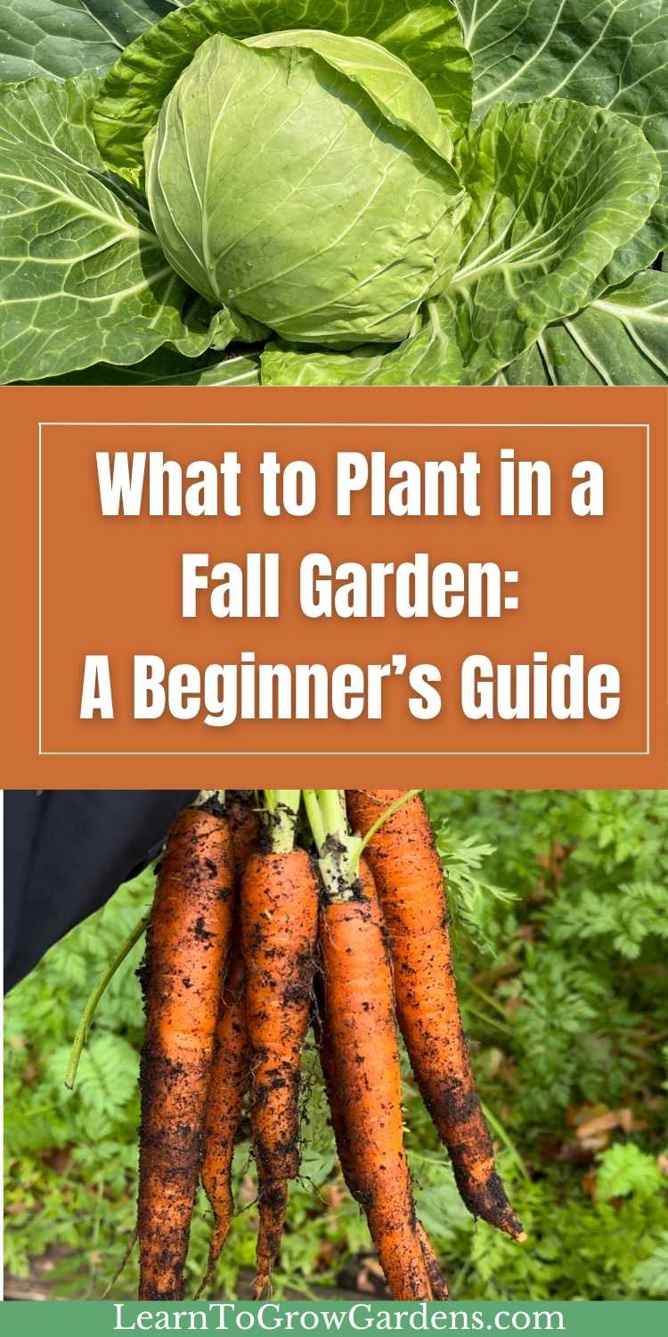 The Ultimate Guide To Fall Gardening - Learn To Grow Gardens