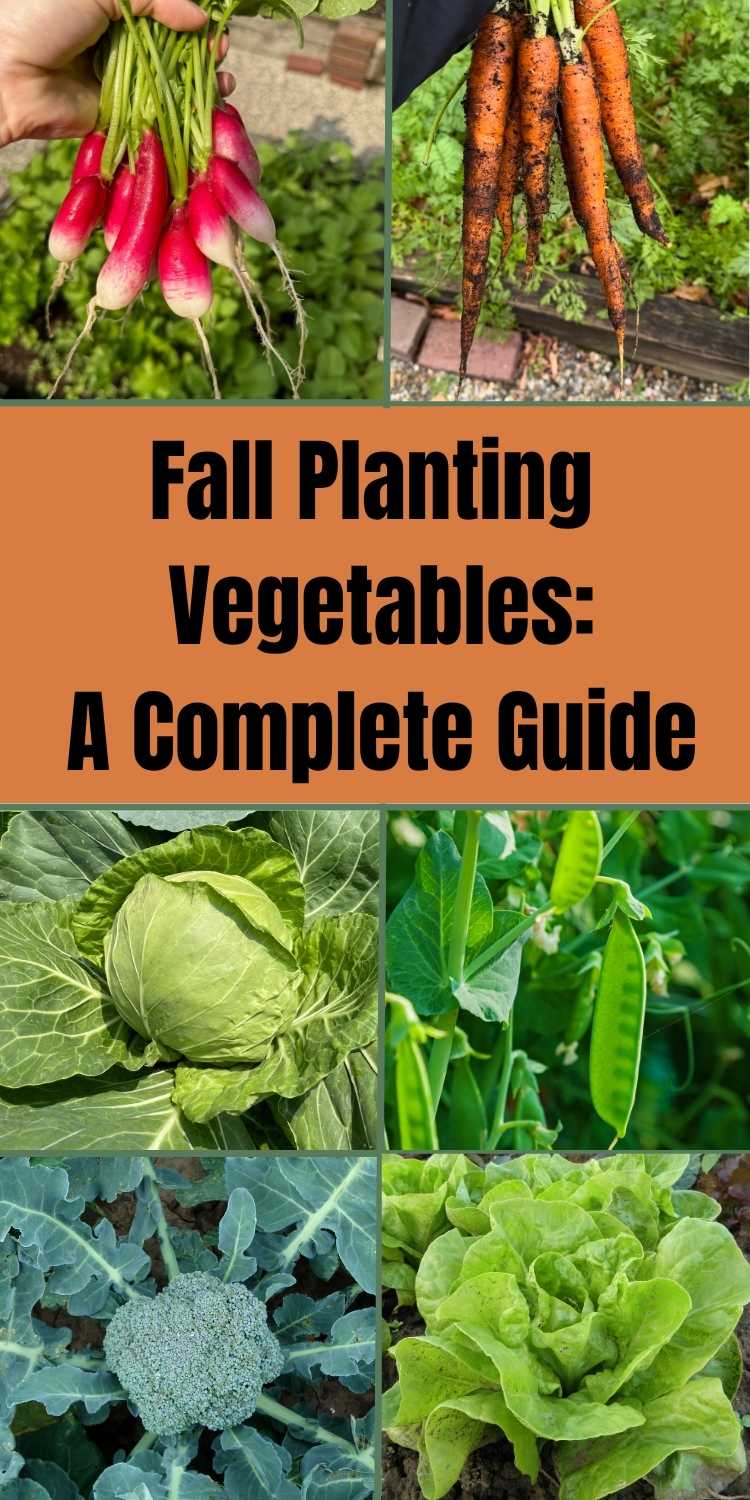 The Ultimate Guide To Fall Gardening - Learn To Grow Gardens