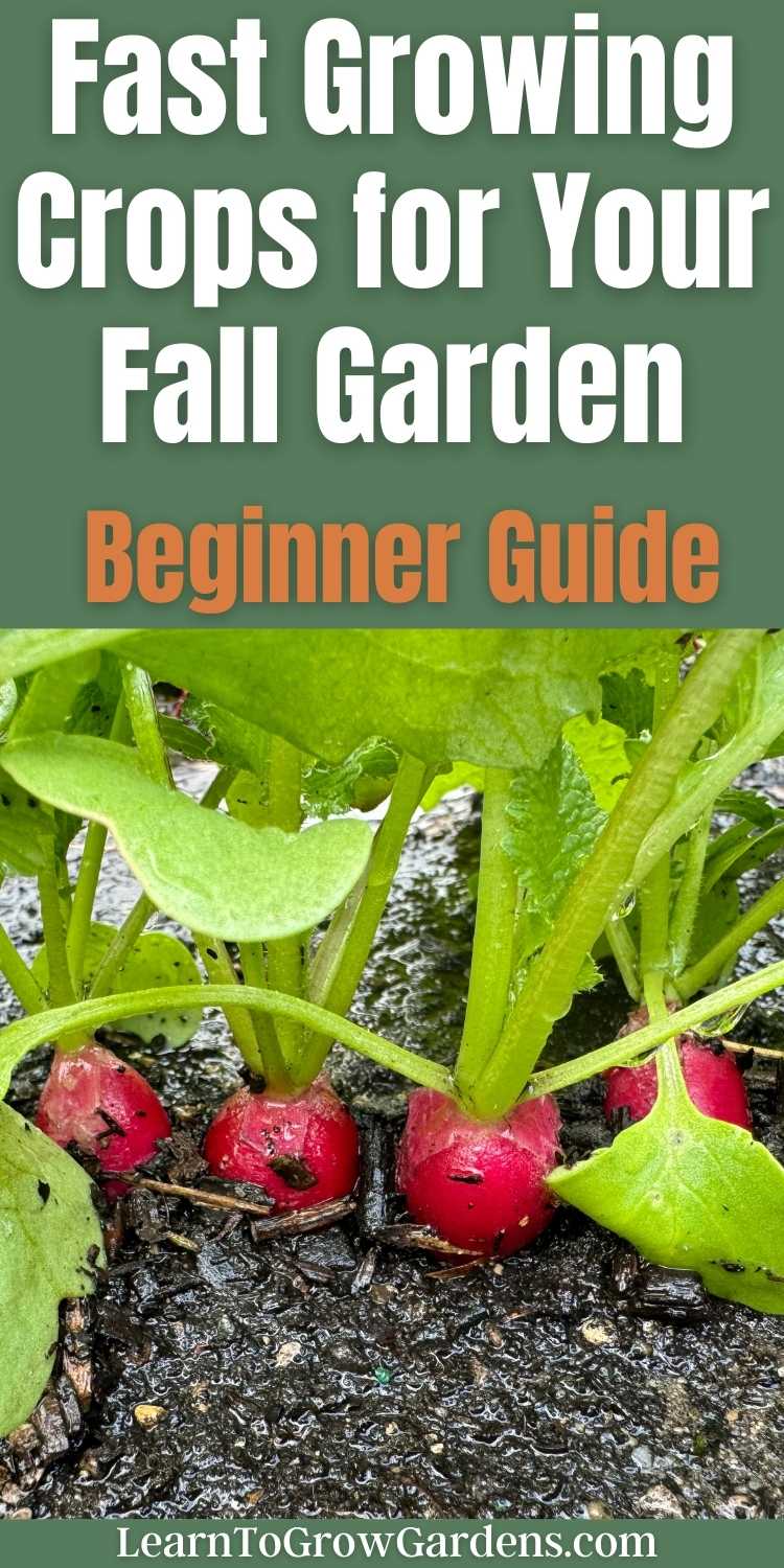 Quick Growing Vegetables to Plant in the Fall - Learn To Grow Gardens