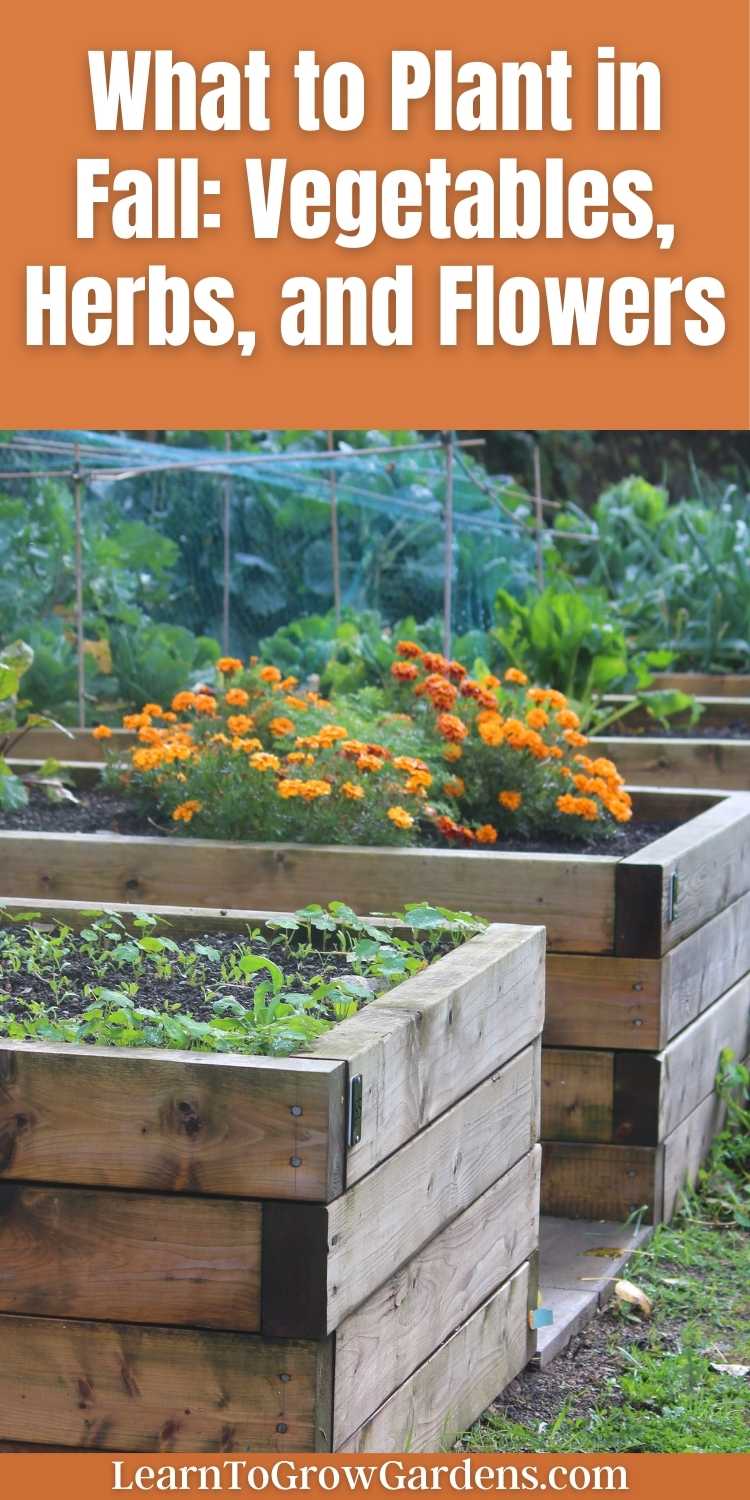 What to Plant for an Incredible Fall Garden - Learn To Grow Gardens