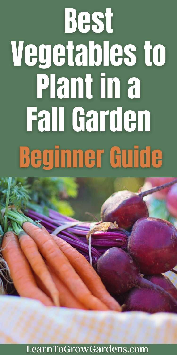 What to Plant for an Incredible Fall Garden - Learn To Grow Gardens