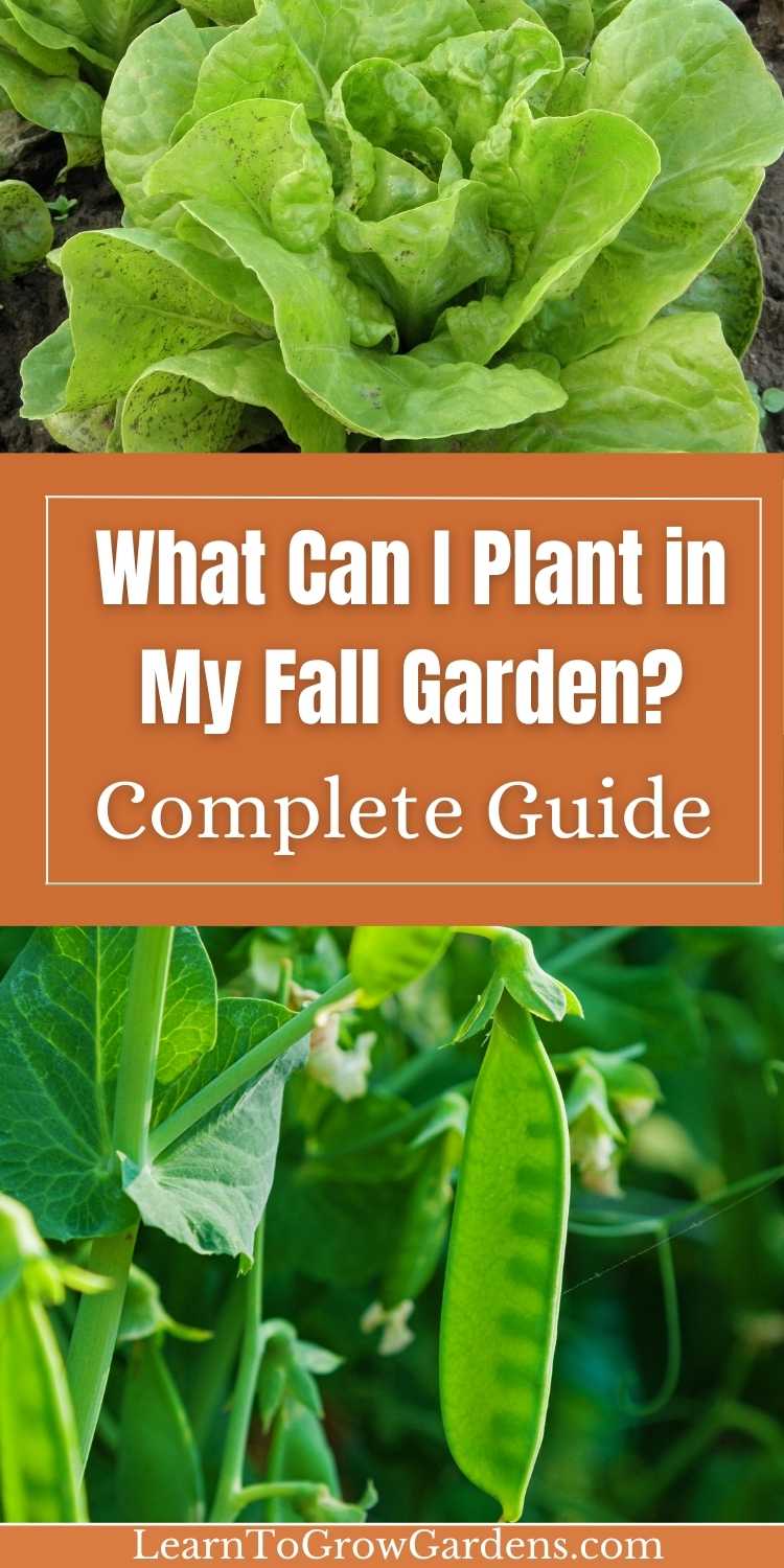 What to Plant for an Incredible Fall Garden - Learn To Grow Gardens